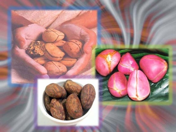 Lua Cheia Tranca Rua das Almas - Obi Africano. Obi é um fruto♈ ...